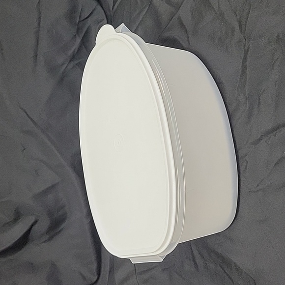 Tupperware | Kitchen | New Tupperware Flavor Saver Container Holds A ...